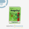 Ampelop {110.000đ} - Hỗ Trợ Giảm Viêm Đau Dạ Dày Tá Tràng An Toàn