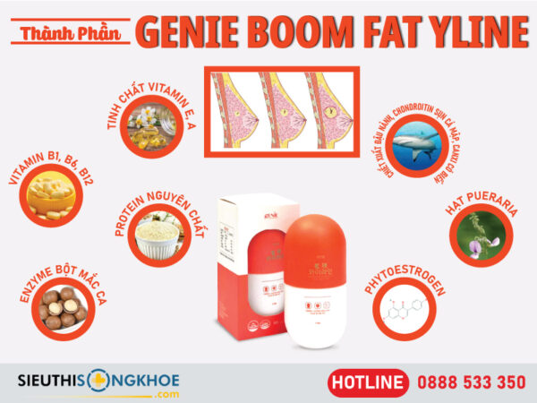 Genie Boom Fat Yline [790.000đ] - Hỗ Trợ Tăng Size Ngực