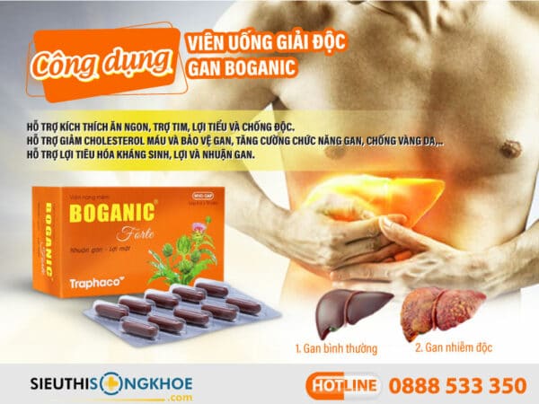 Boganic Forte [115.000đ] - Hỗ Trợ Phục Hồi & Thanh Lọc Gan