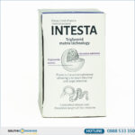 Intesta [900.000đ] - Hỗ Trợ Điều Trị Viêm Đại Tràng & Viêm Ruột