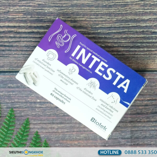 Intesta [900.000đ] - Hỗ Trợ Điều Trị Viêm Đại Tràng & Viêm Ruột